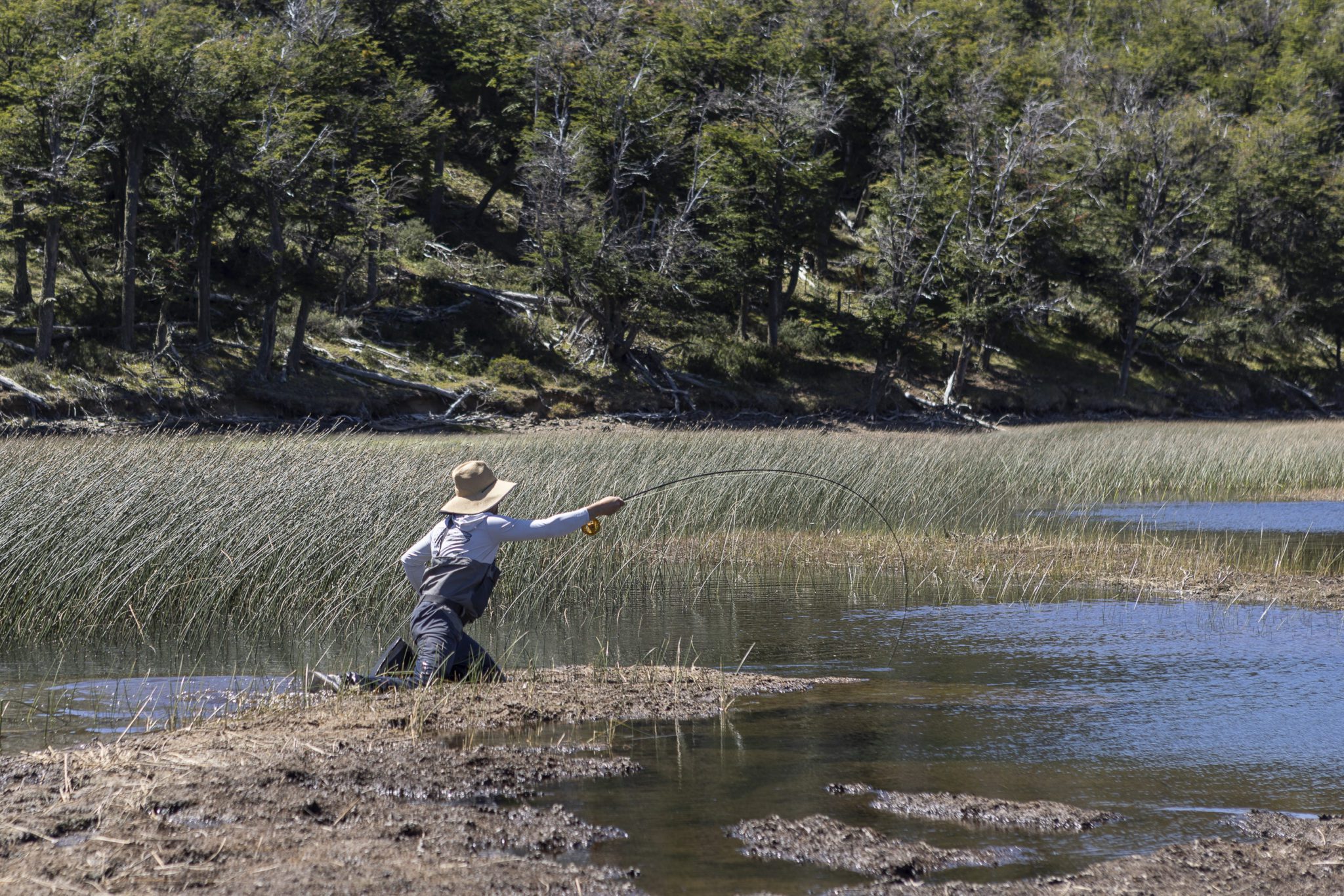 We are ChileTrout | ChileTrout